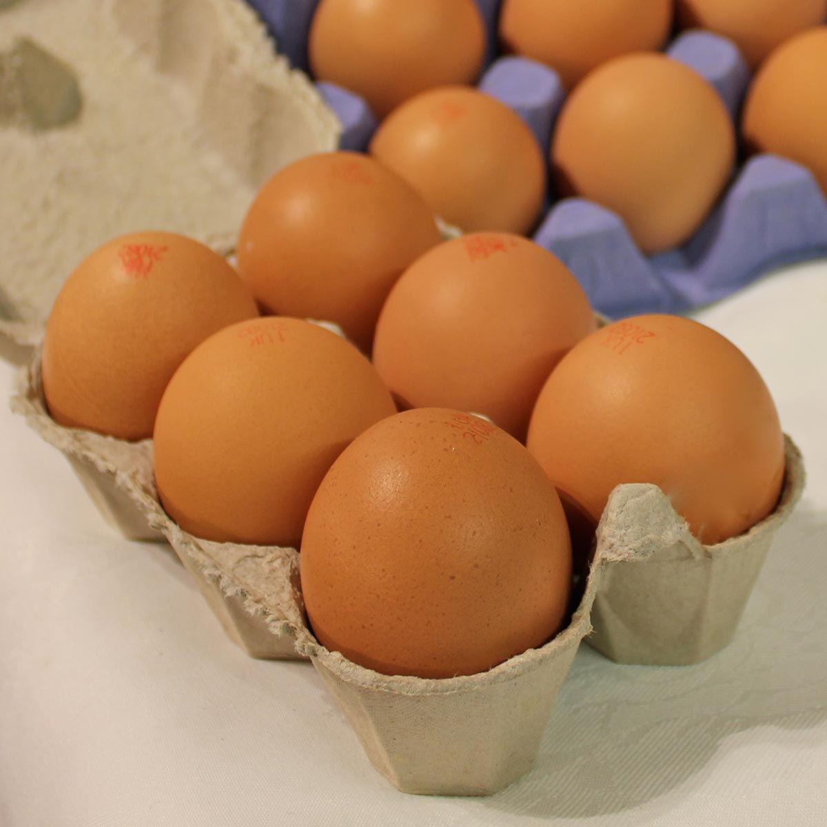 Extra Large Barn Eggs – Rob Newey Butchers